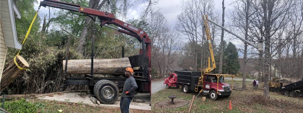 Tree Service | Tree Removal | Lynchburg VA – Viewpoint Tree Service is ...